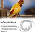 3M 4M Parrot Bird Flying Training Leash Ultra-light Flexible Rope Anti-bite with Leg Ring Harness Outdoor Cockatiel